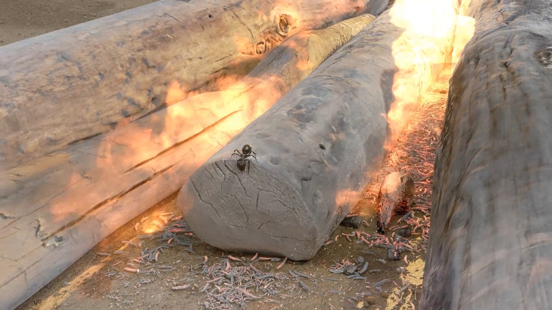 3D Model Forest Fire Scene FX - TurboSquid 1834096