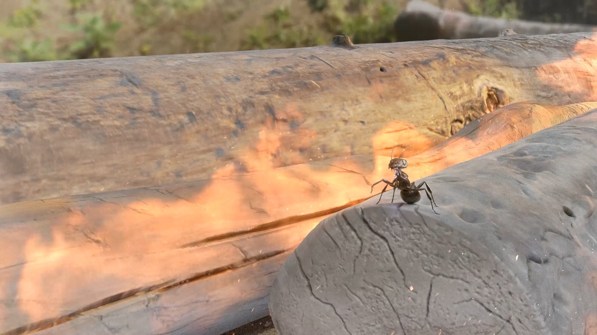 3D Model Forest Fire Scene FX - TurboSquid 1834096