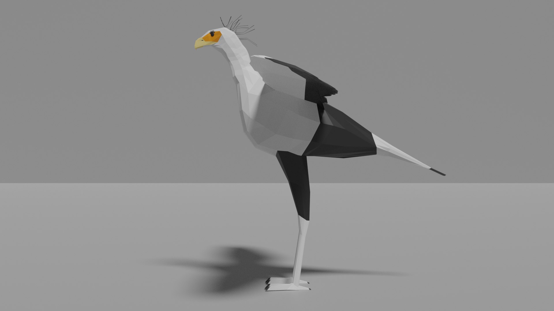 3D Secretary Bird - TurboSquid 1647864