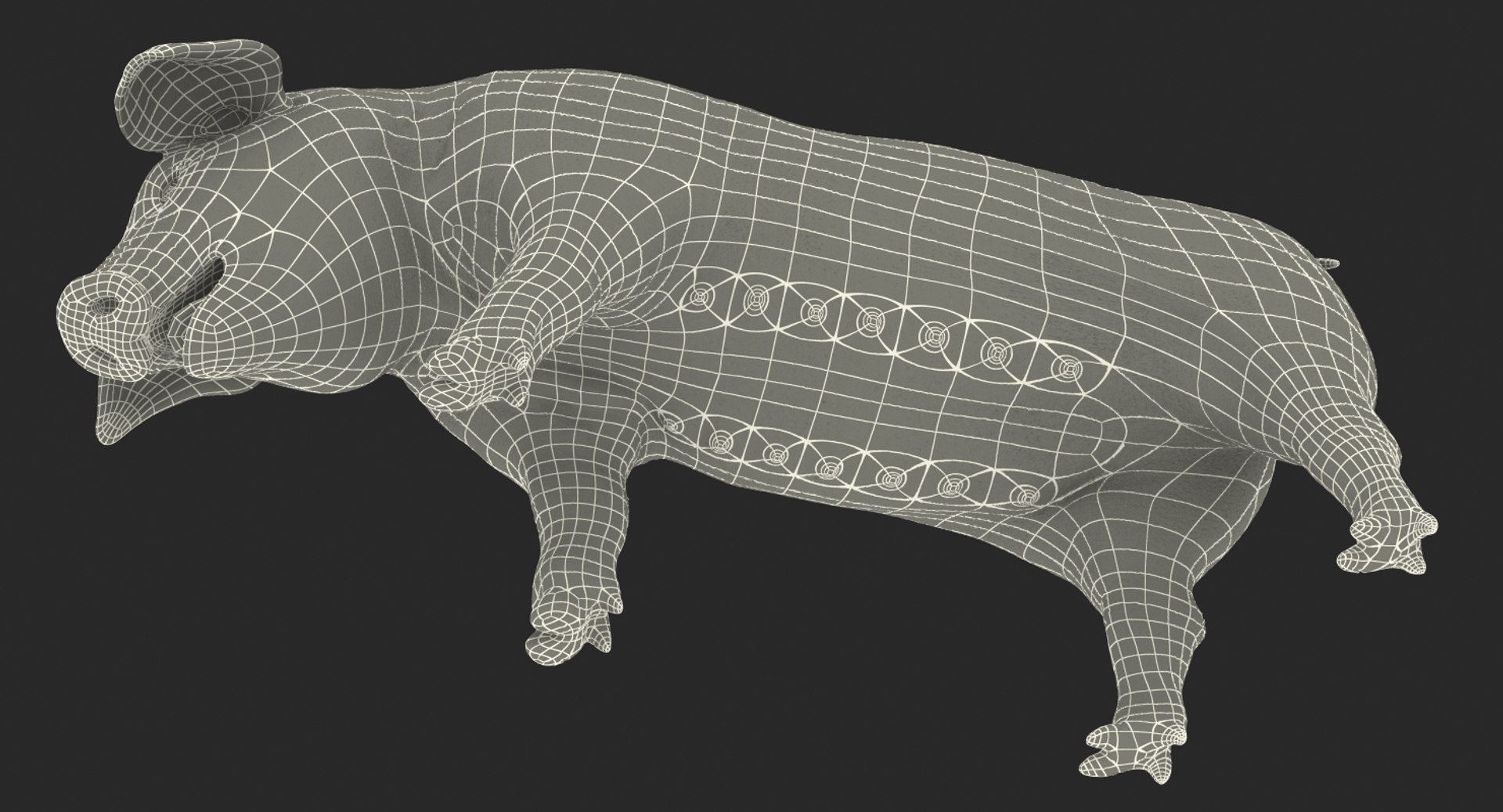 3D Pig Piglet Pietrain Standing - TurboSquid 1350935