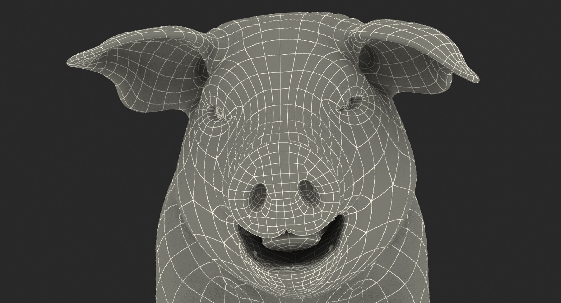 3D Pig Piglet Pietrain Standing - TurboSquid 1350935