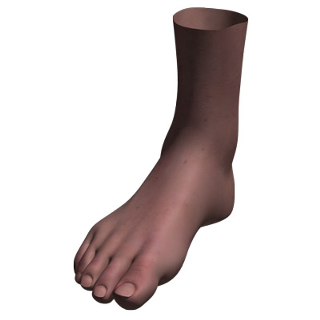 Human Foot Max