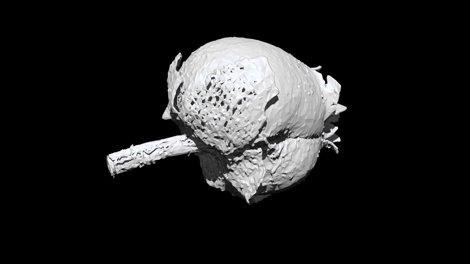 3D Antirrhinum Majus 3D CT Scan Model Decimate 5 Percent - TurboSquid ...