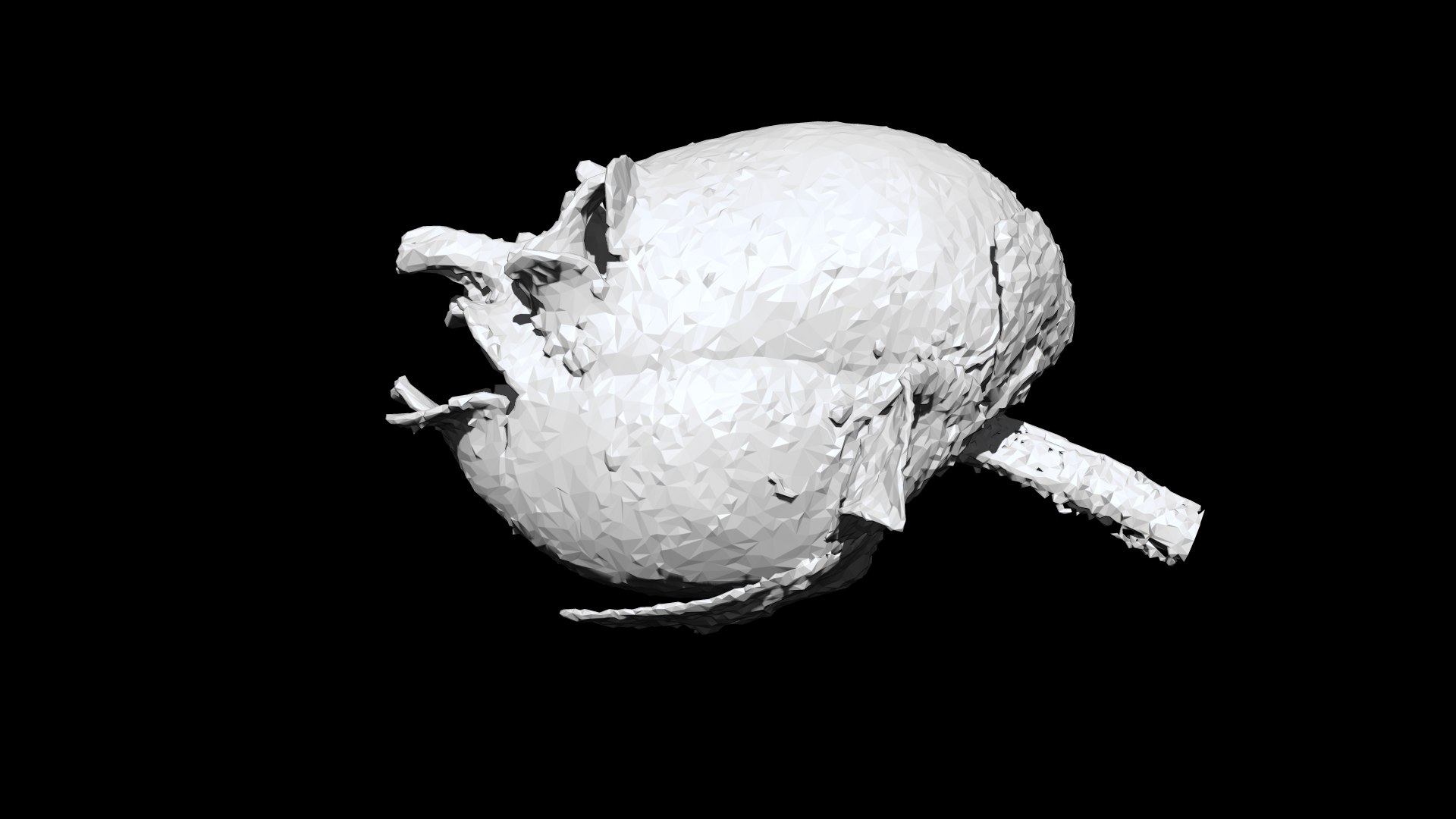 3D Antirrhinum Majus 3D CT Scan Model Decimate 5 Percent - TurboSquid ...