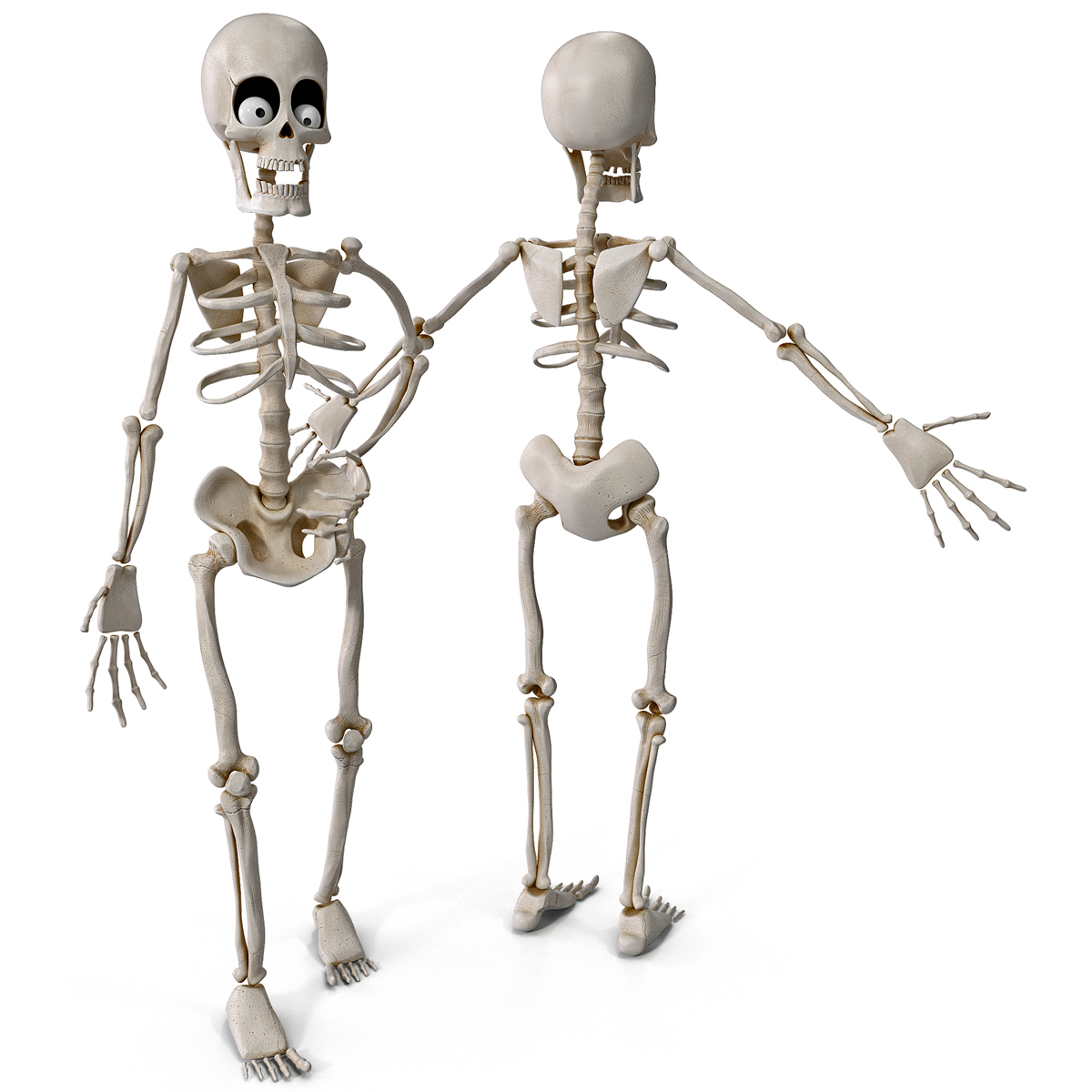 max cartoon skeleton rigged