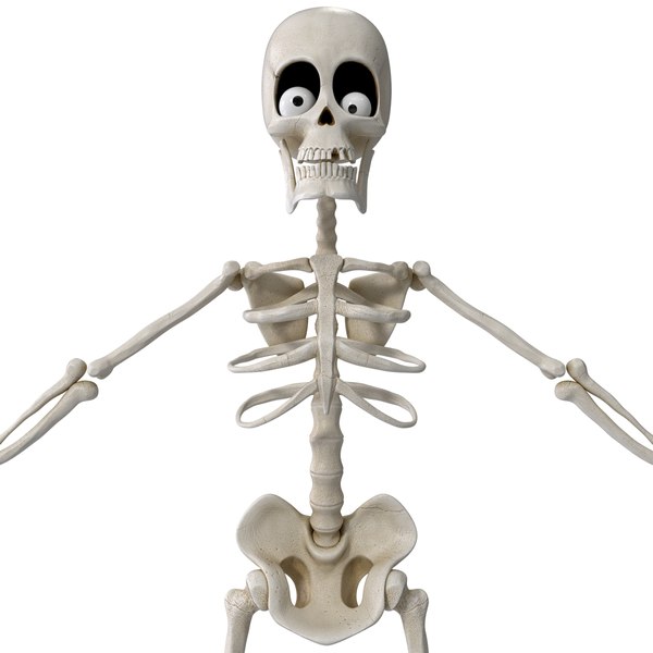 max cartoon skeleton rigged
