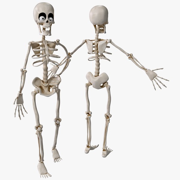 Cartoon Skeleton 3D Models for Download | TurboSquid