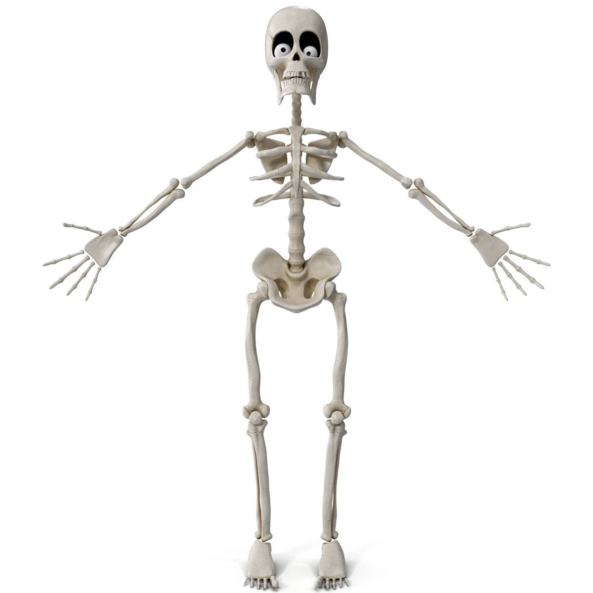 max cartoon skeleton rigged