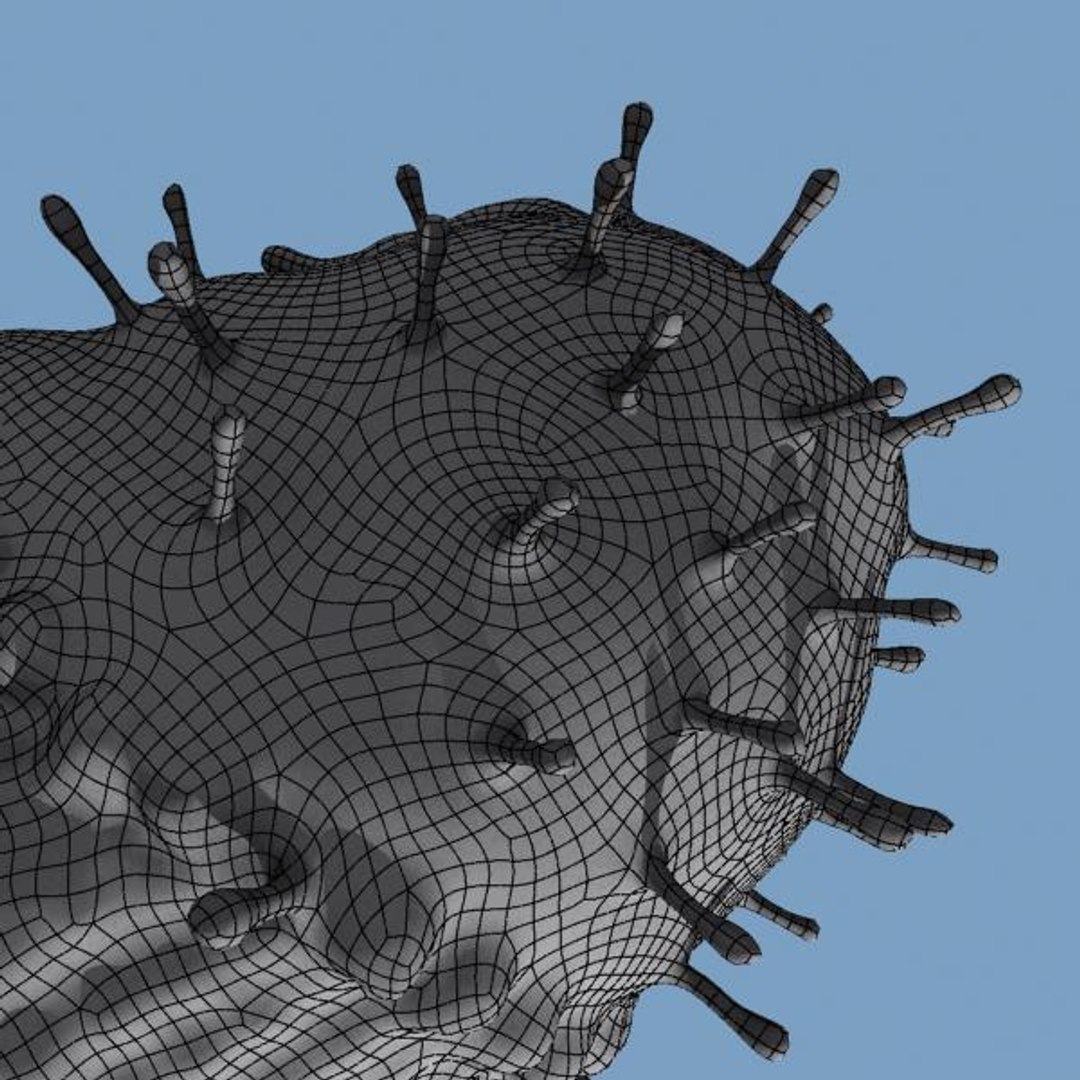 Rabies Virus 3d Model