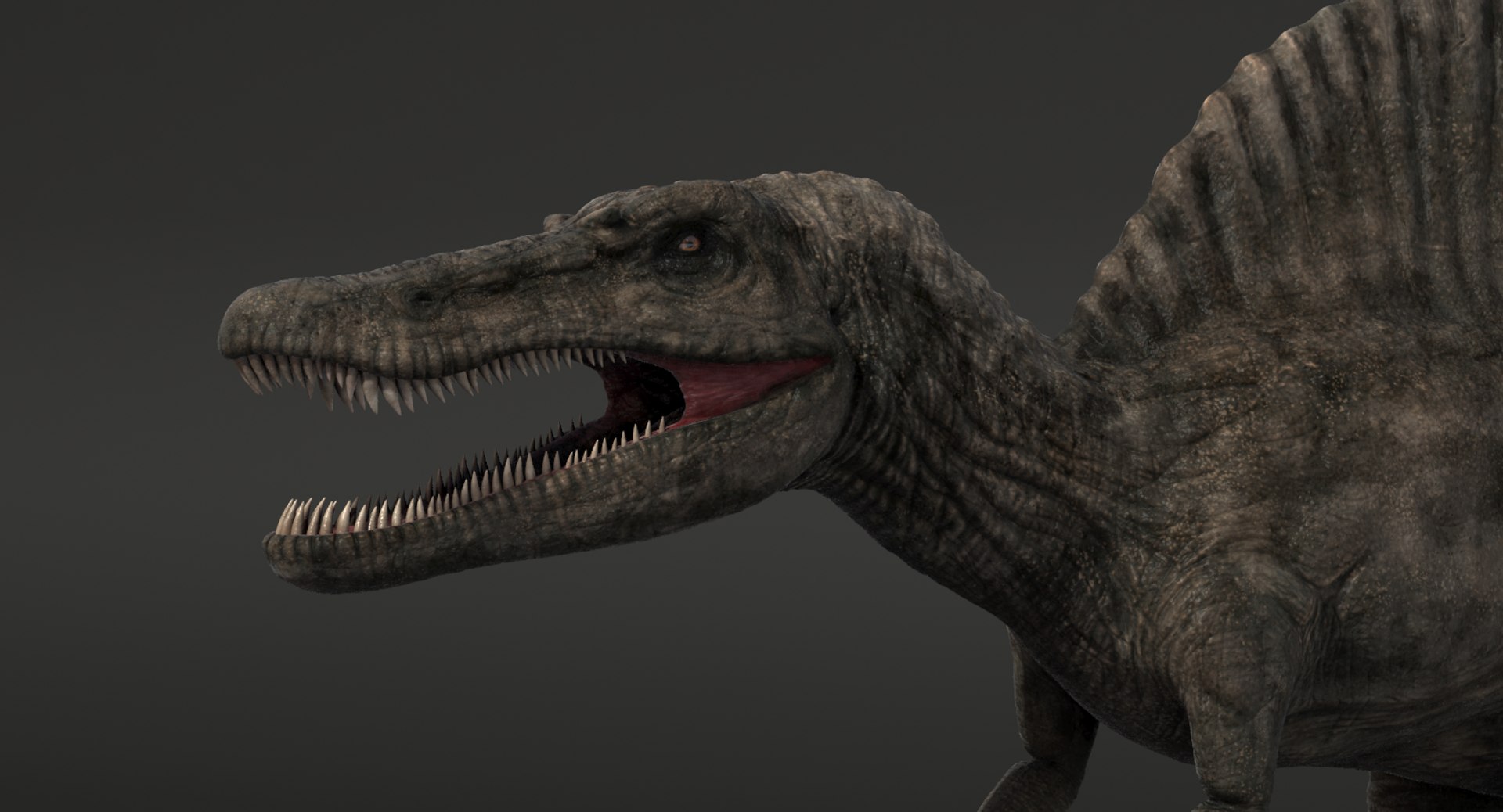 Obj Realistic Spinosaurus Zbrush