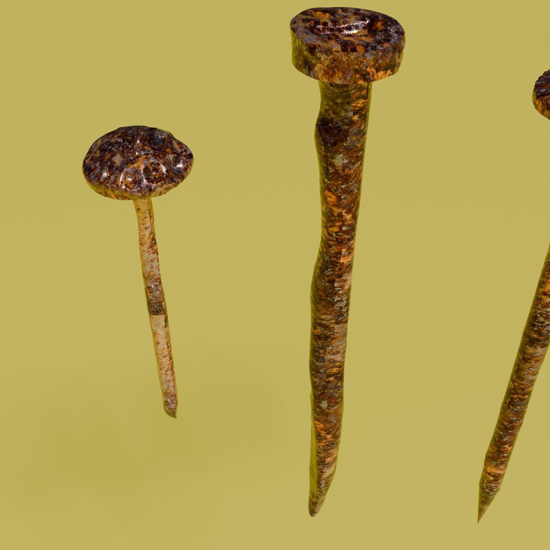 3D A Set Of Rusty Dented Nails - TurboSquid 2320531