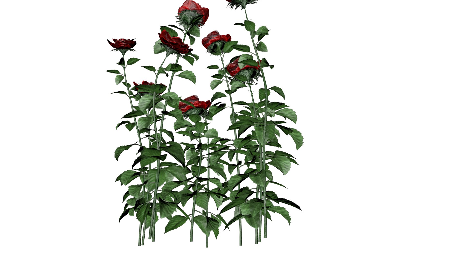 Red Rose Patch - 02 - 3D Model - TurboSquid 2372850