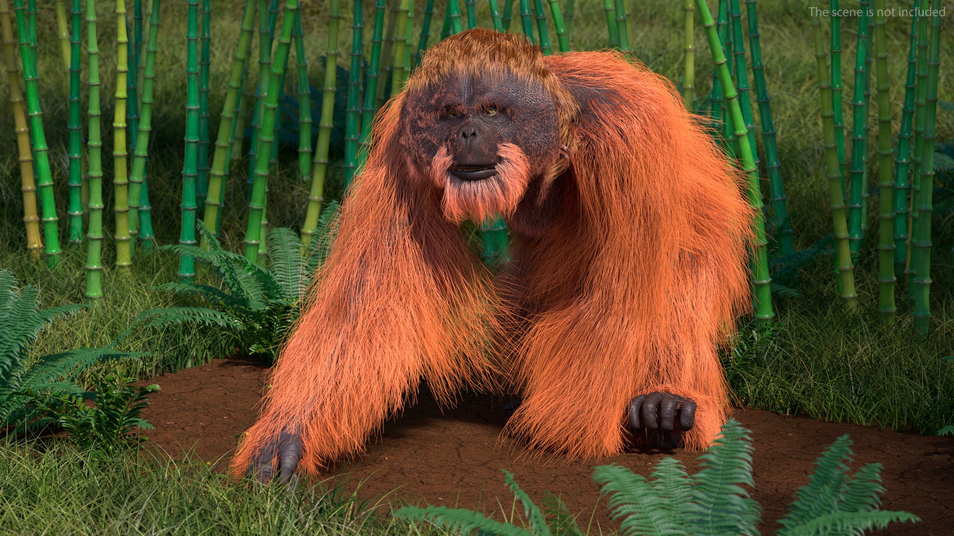 Orangutan Walking Fur 3D Model - TurboSquid 1985958