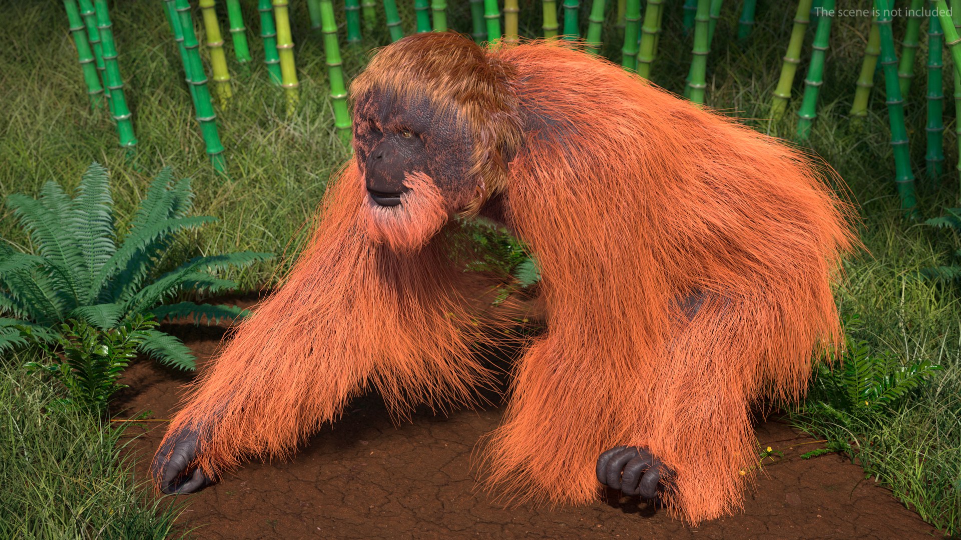 Orangutan Walking Fur 3D Model - TurboSquid 1985958