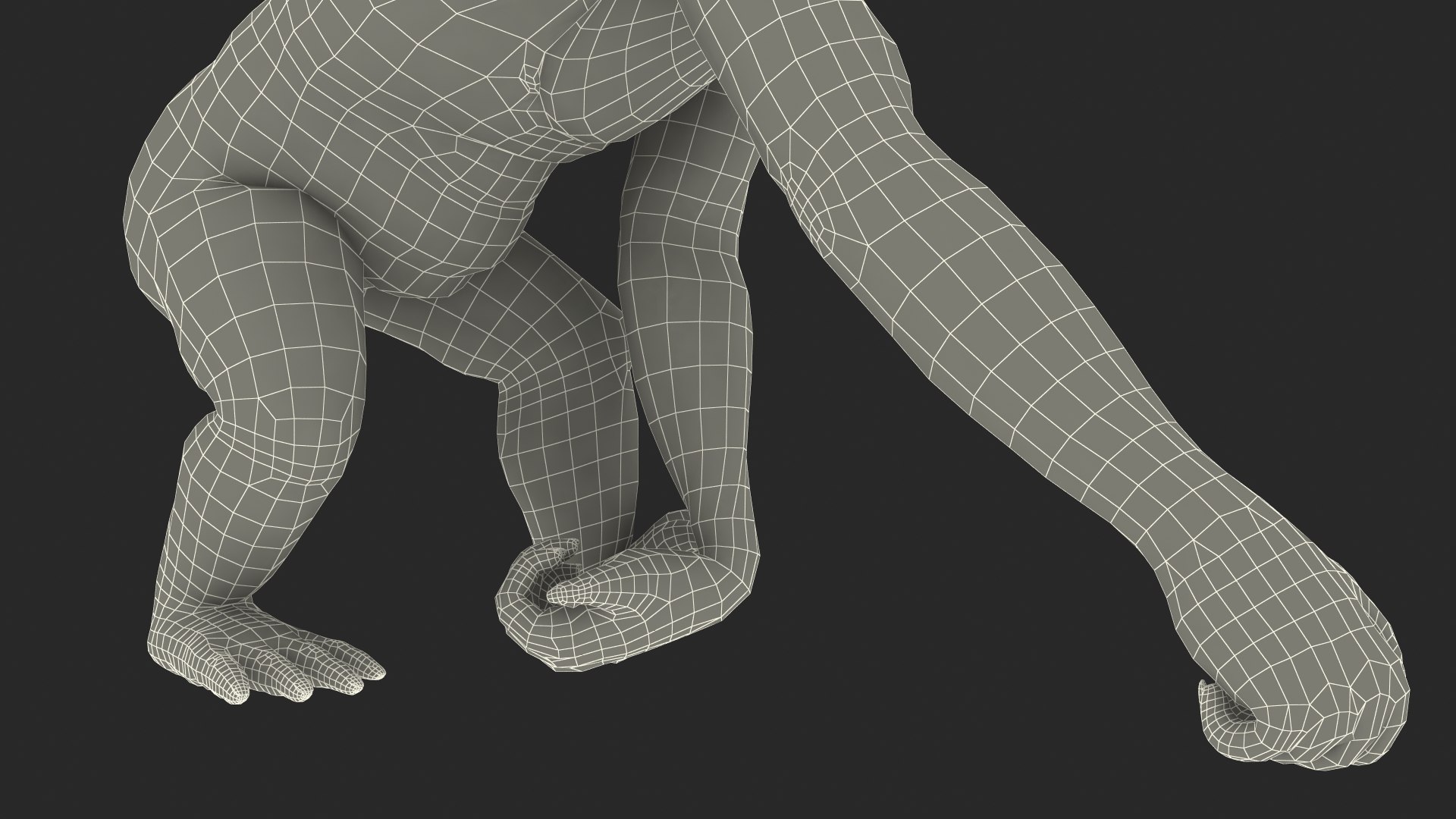 Orangutan Walking Fur 3D Model - TurboSquid 1985958