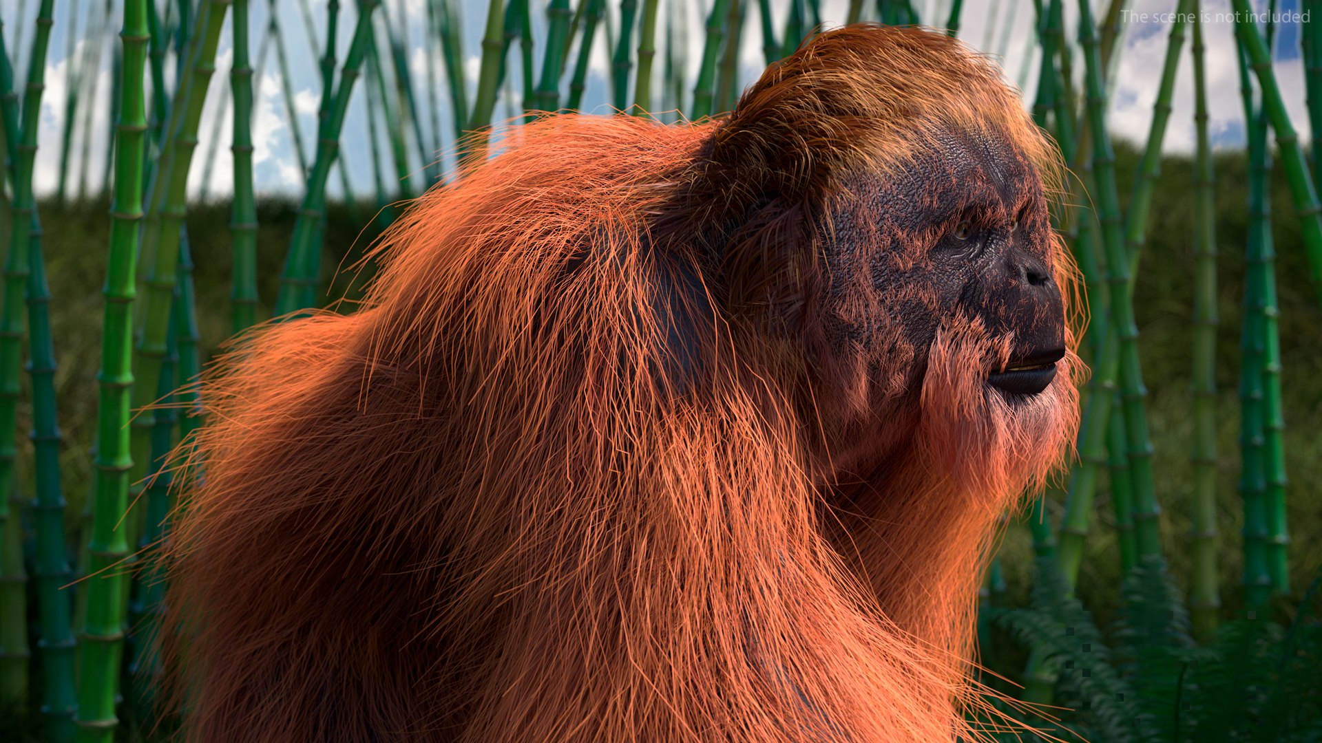 Orangutan Walking Fur 3D Model - TurboSquid 1985958