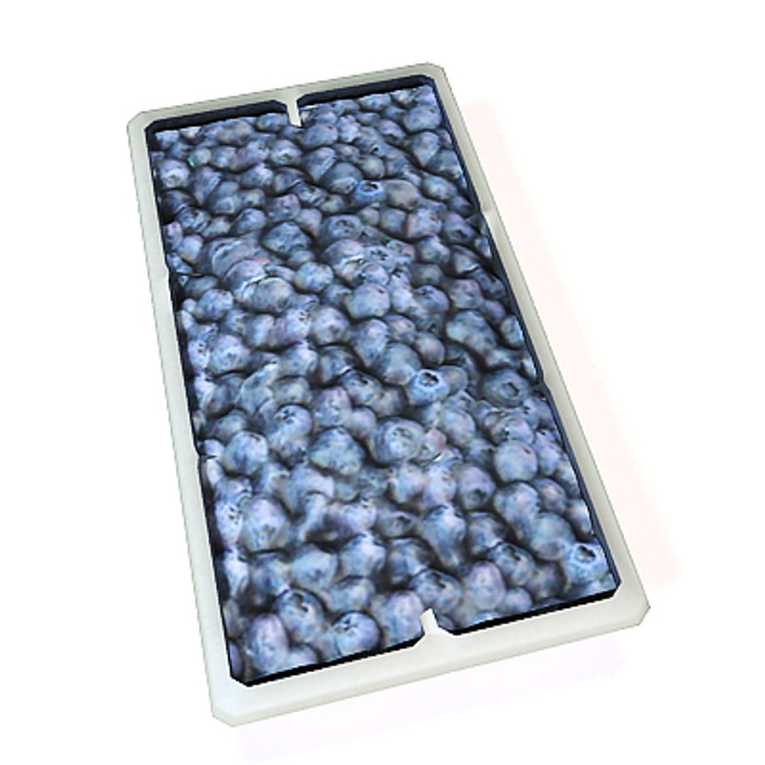 3d Box Blueberries