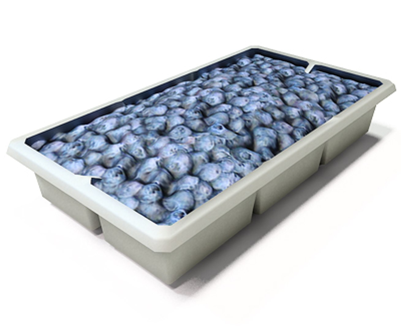 3d Box Blueberries