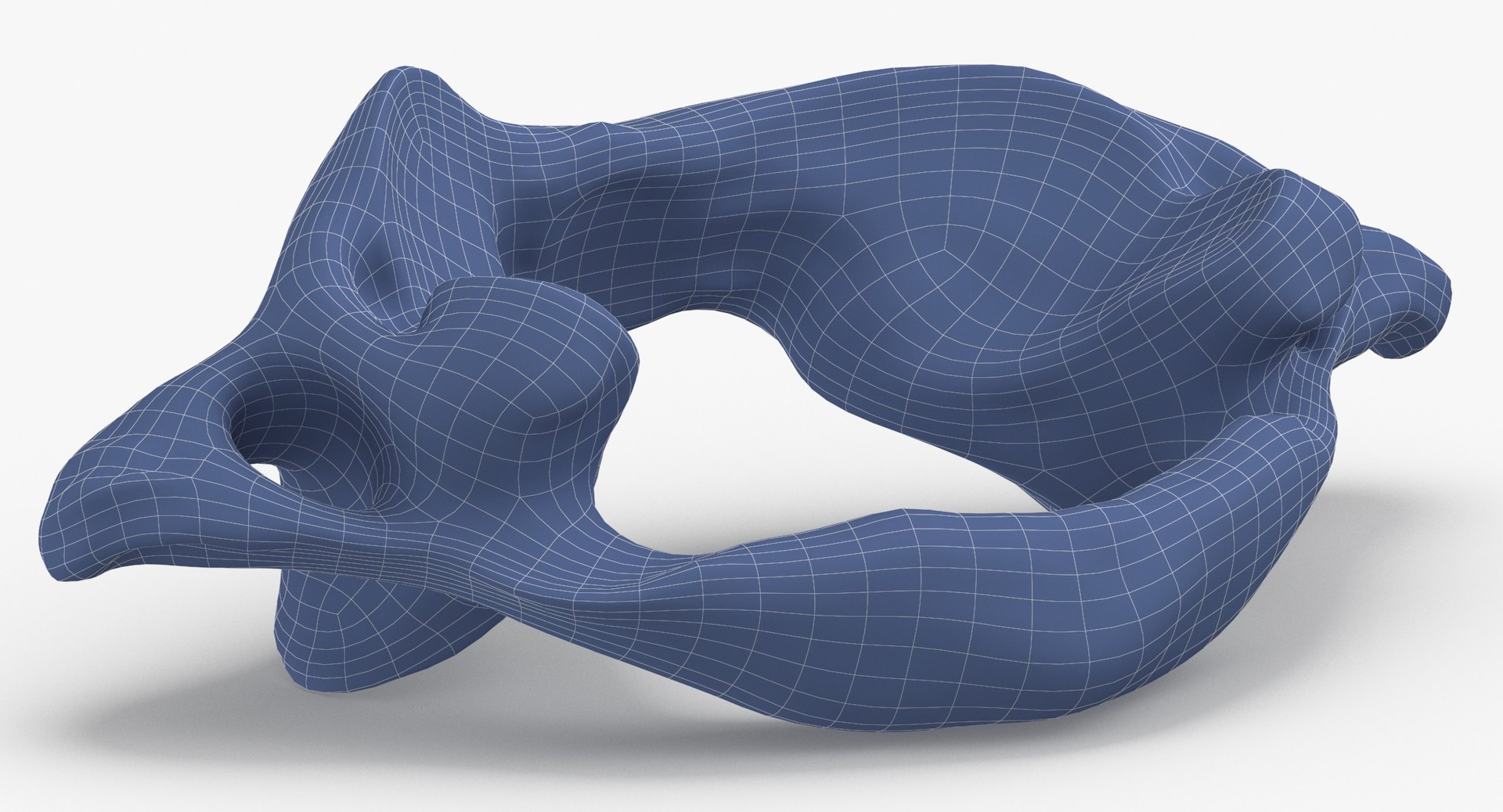 Cervical Vertebrae C1 Atlas 3D Model - TurboSquid 1600279