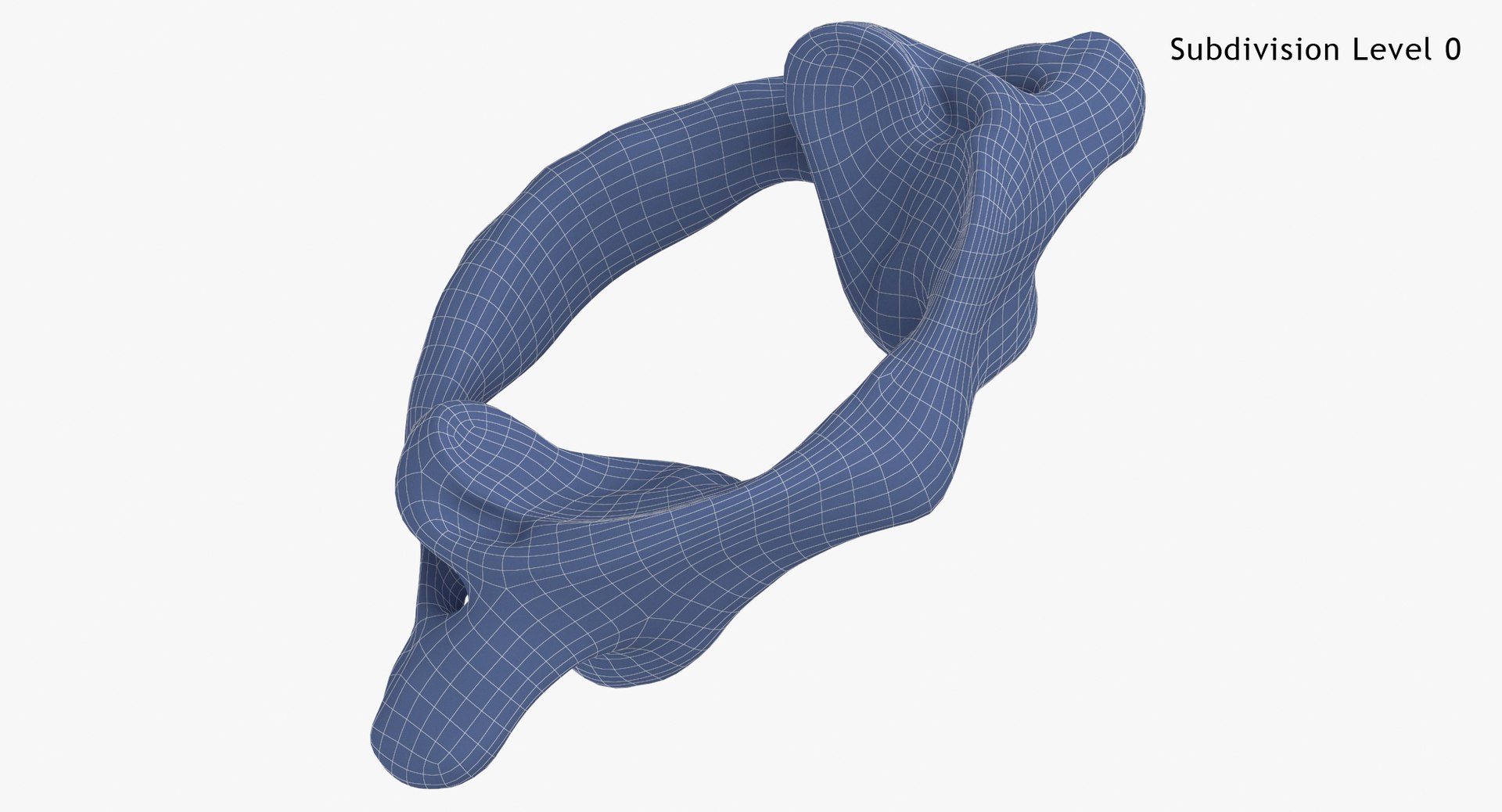 Cervical Vertebrae C1 Atlas 3D Model - TurboSquid 1600279