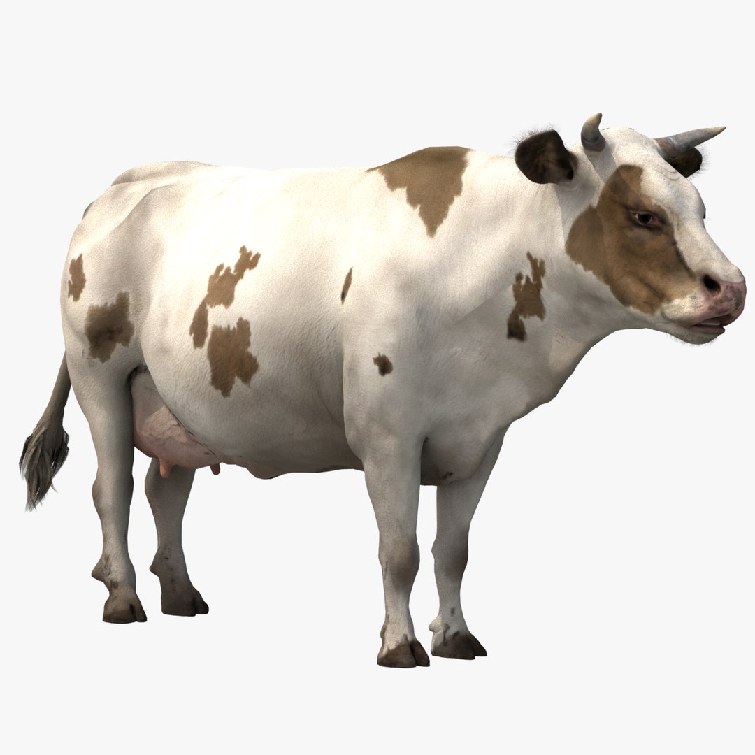 Cow Rigged 3D model - TurboSquid 2085481