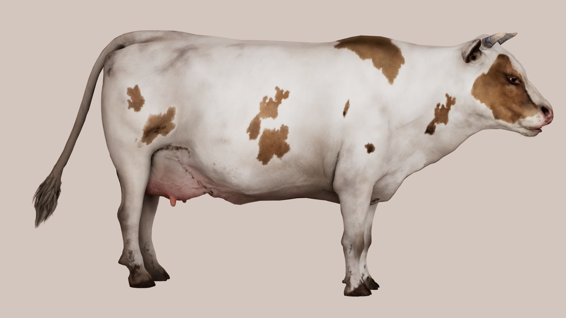 Cow Rigged 3D Model - TurboSquid 2085481