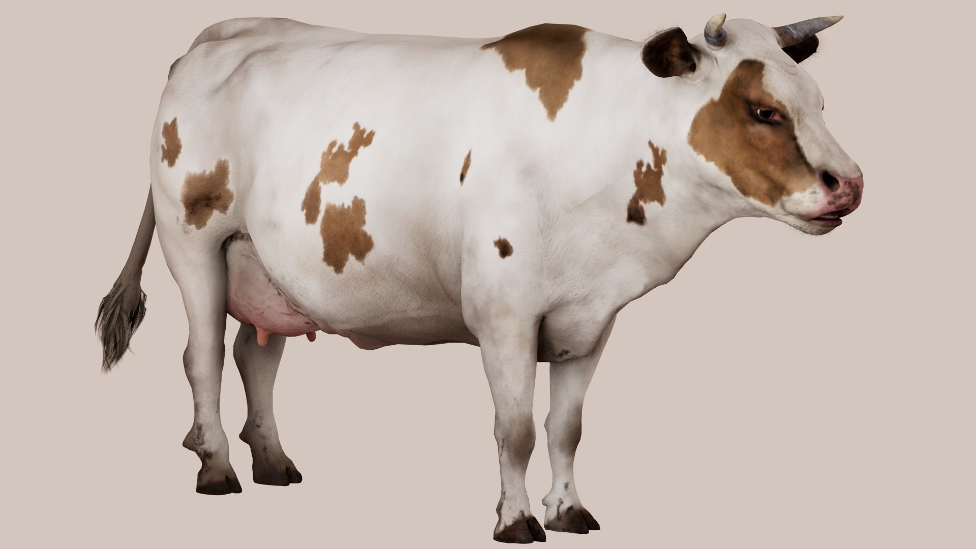 Cow Rigged 3D Model - TurboSquid 2085481