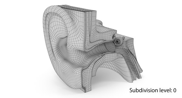 Ear anatomy 3D model - TurboSquid 1399568