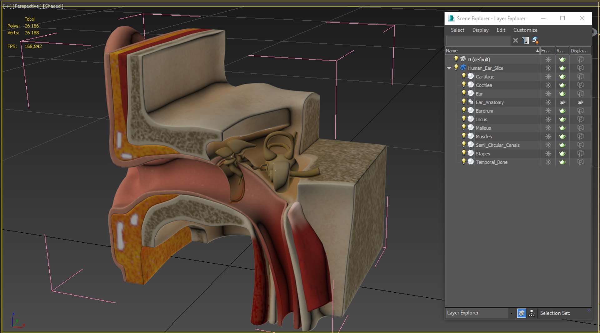 Ear Anatomy 3D Model - TurboSquid 1399568