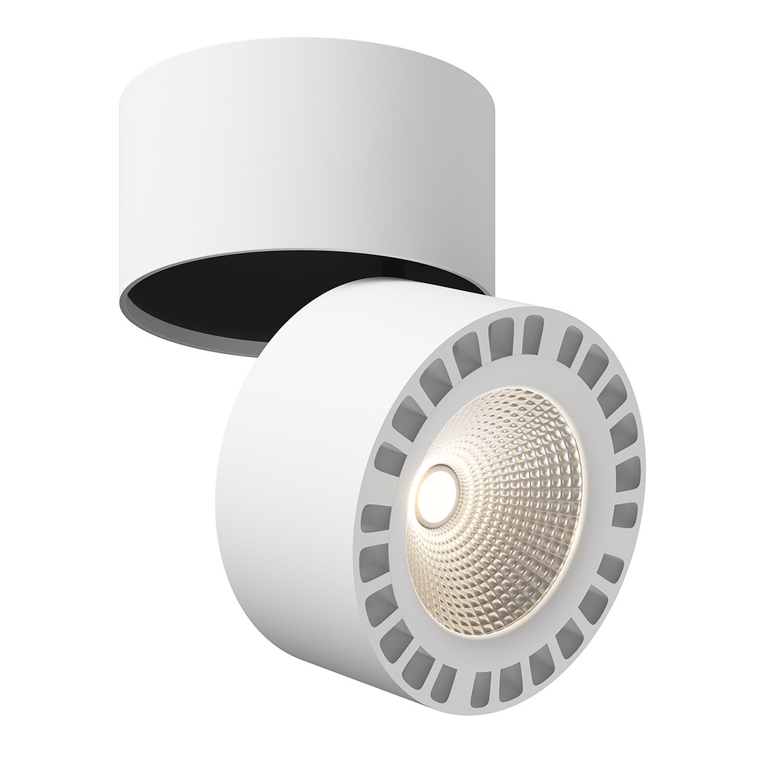 3D Model 3813xx Forte Lightstar Ceiling Lamp - TurboSquid 1538271