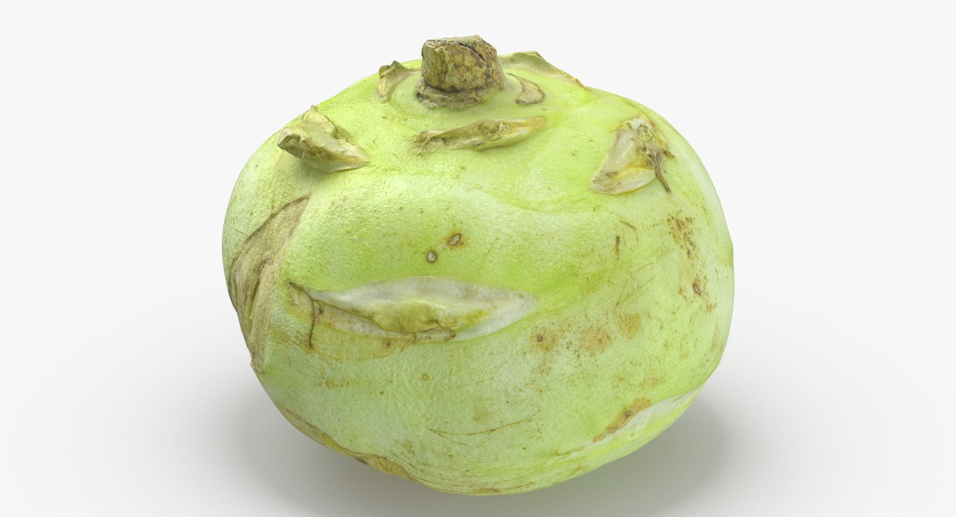 Kohlrabi German Turnip 01 3D Model - TurboSquid 1567915