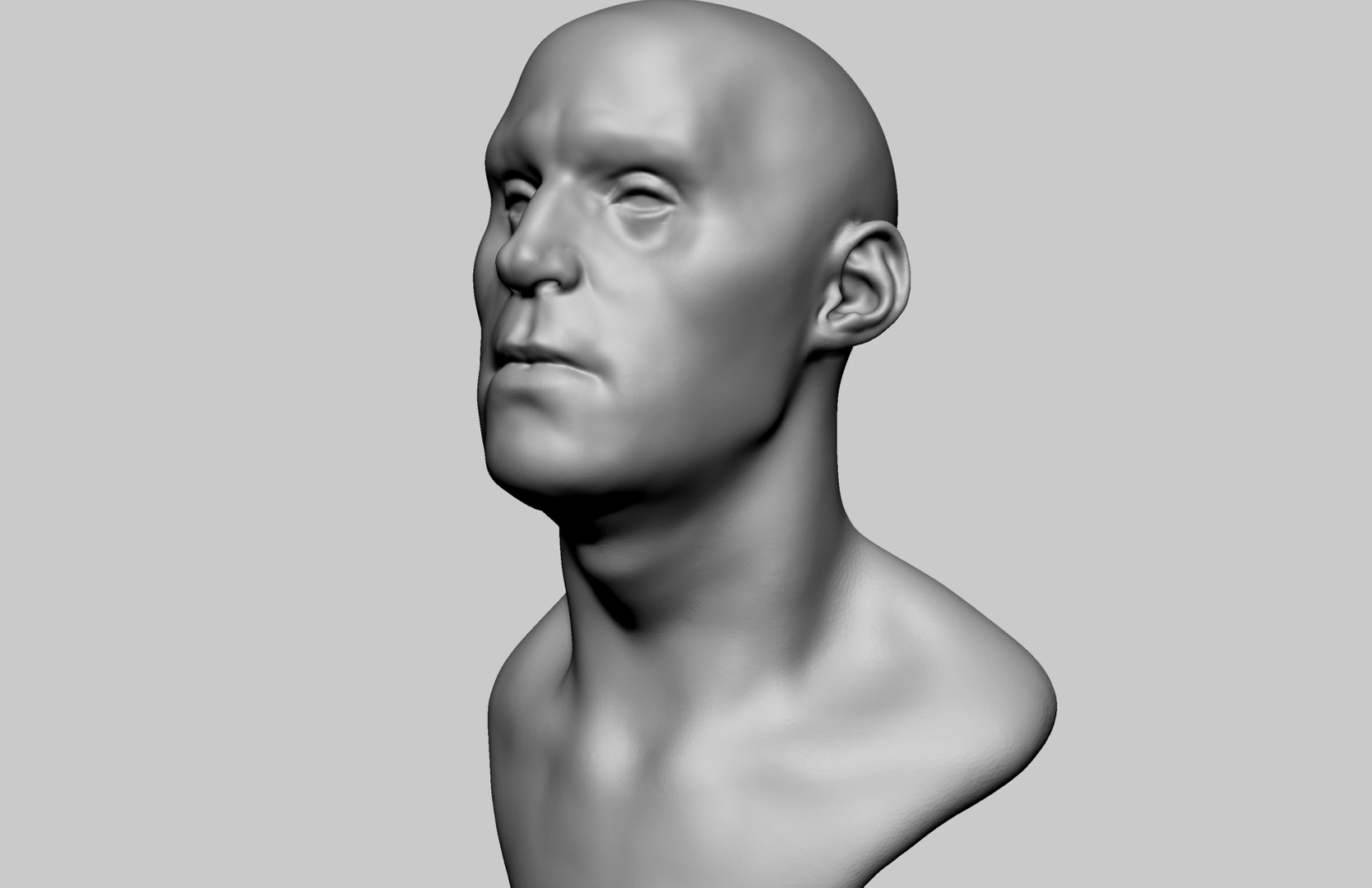 3D Head Anatomy Model - TurboSquid 1567404