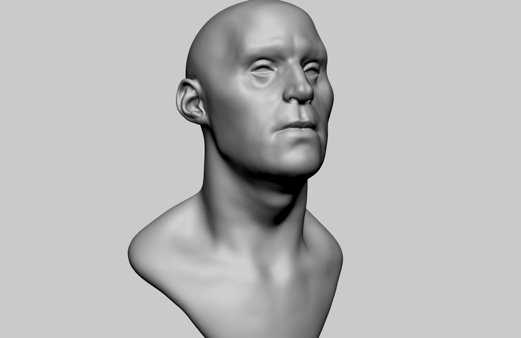3D Head Anatomy Model - TurboSquid 1567404