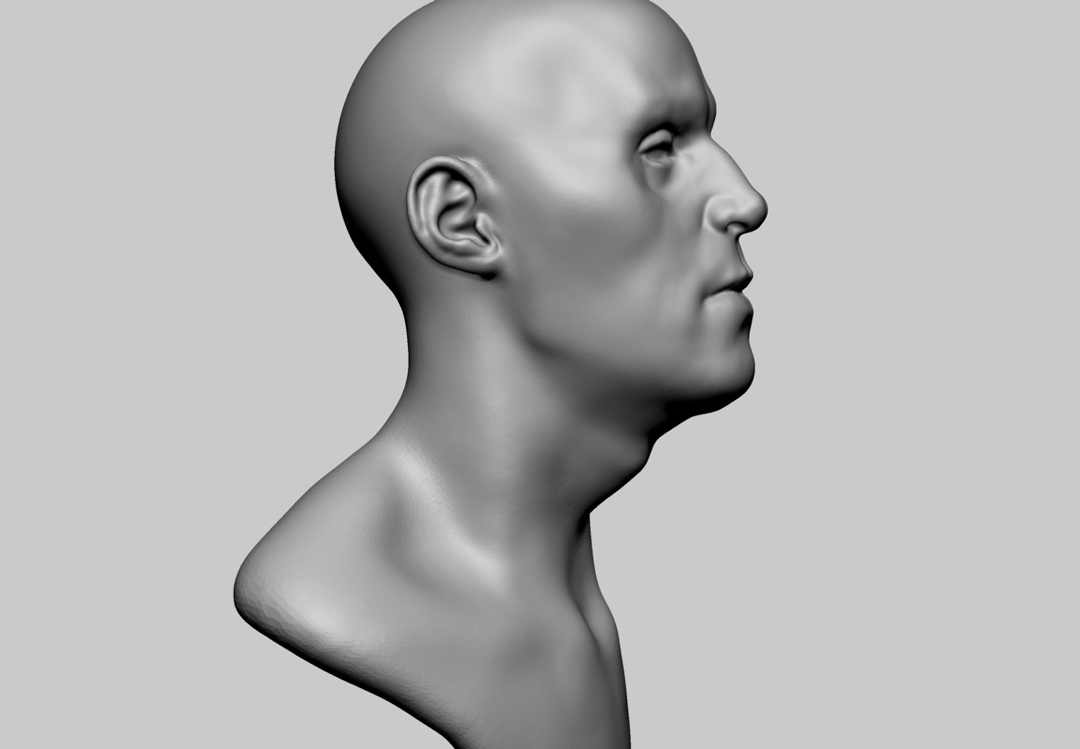 3D Head Anatomy Model - TurboSquid 1567404