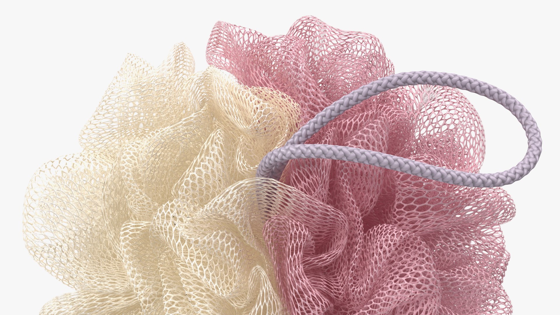 Mesh Bath Sponge 3D - TurboSquid 1518914