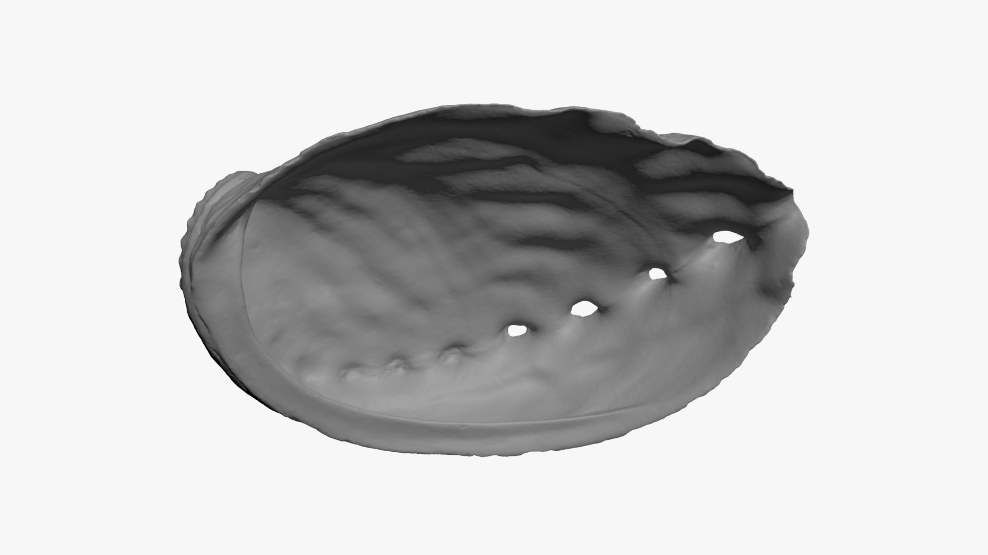 Blue Abalone Shell For 3D Print 3D Model - TurboSquid 2327515