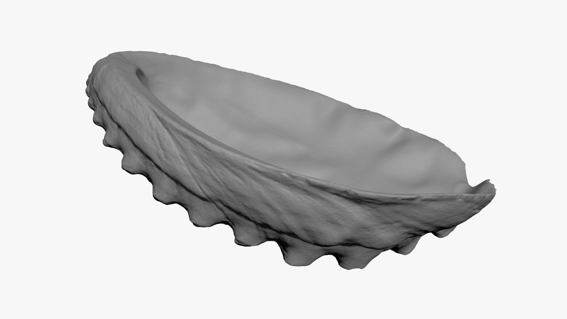 Blue Abalone Shell For 3D Print 3D Model - TurboSquid 2327515