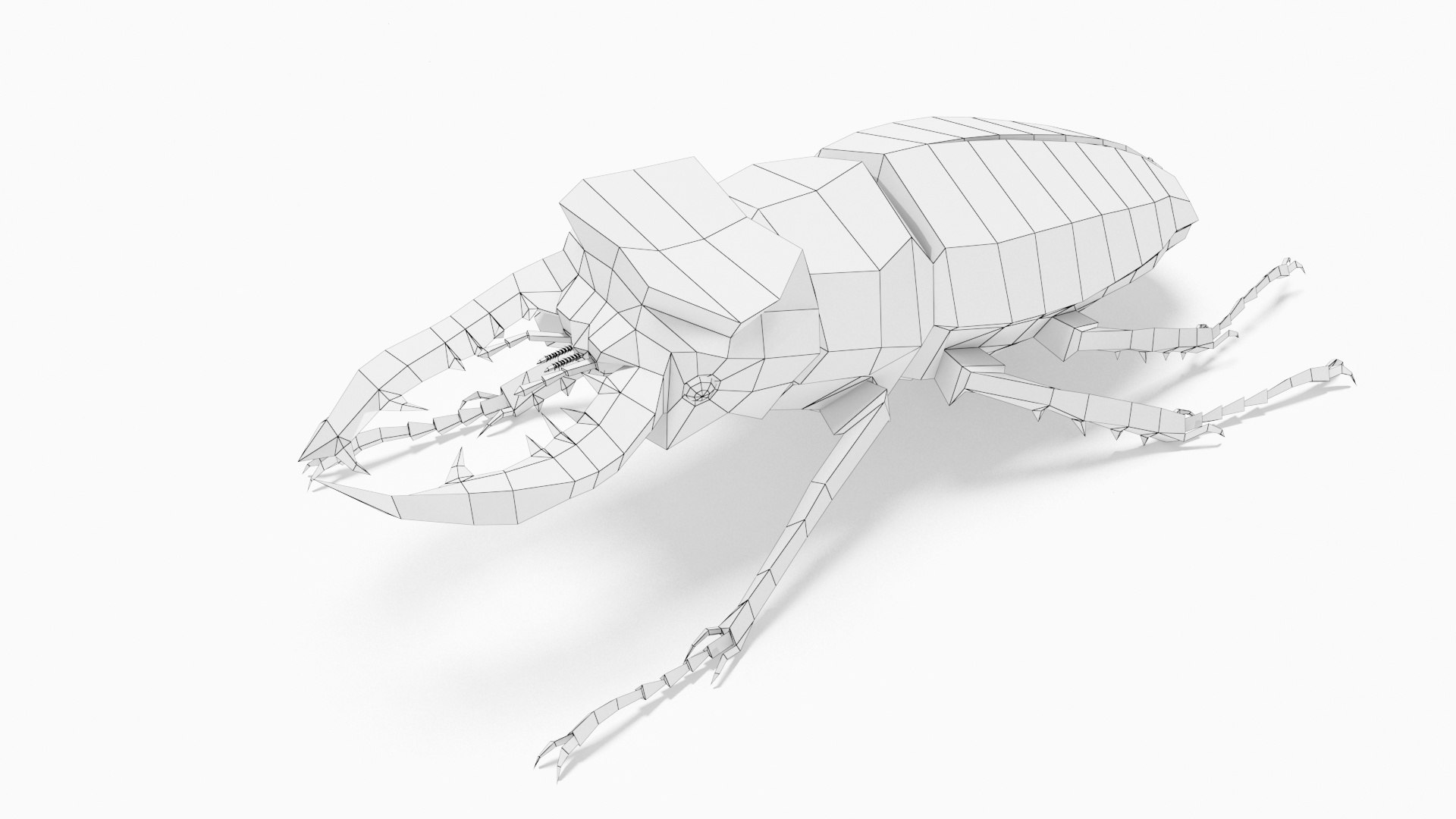 Bug 3D - TurboSquid 1941350