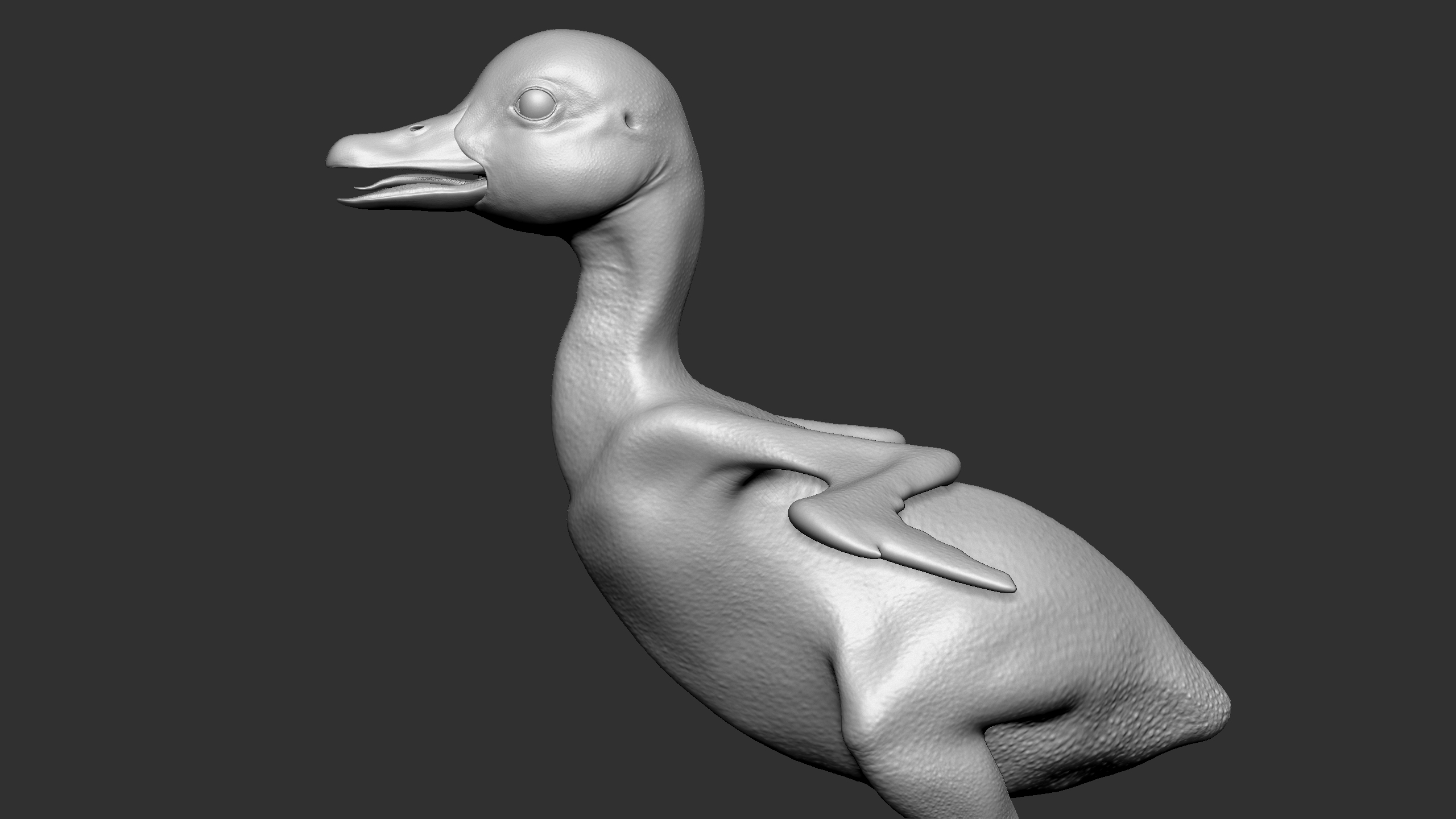 3D model Baby Duck Duckling Zbrush - TurboSquid 1735181
