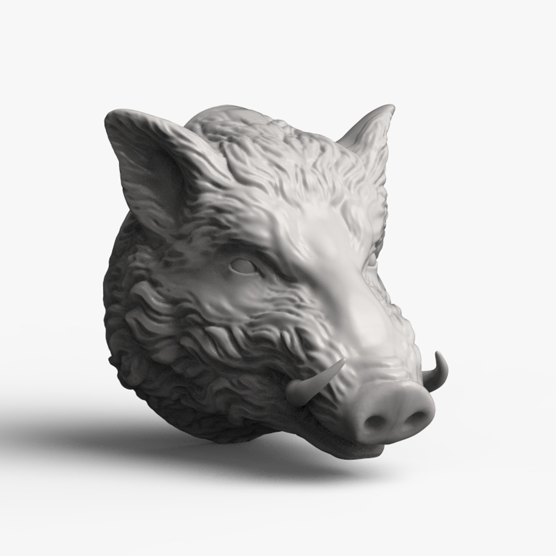 3d Boar Head