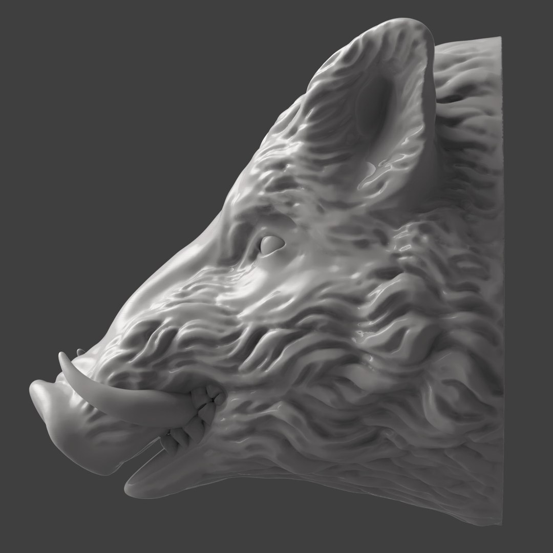 3d Boar Head