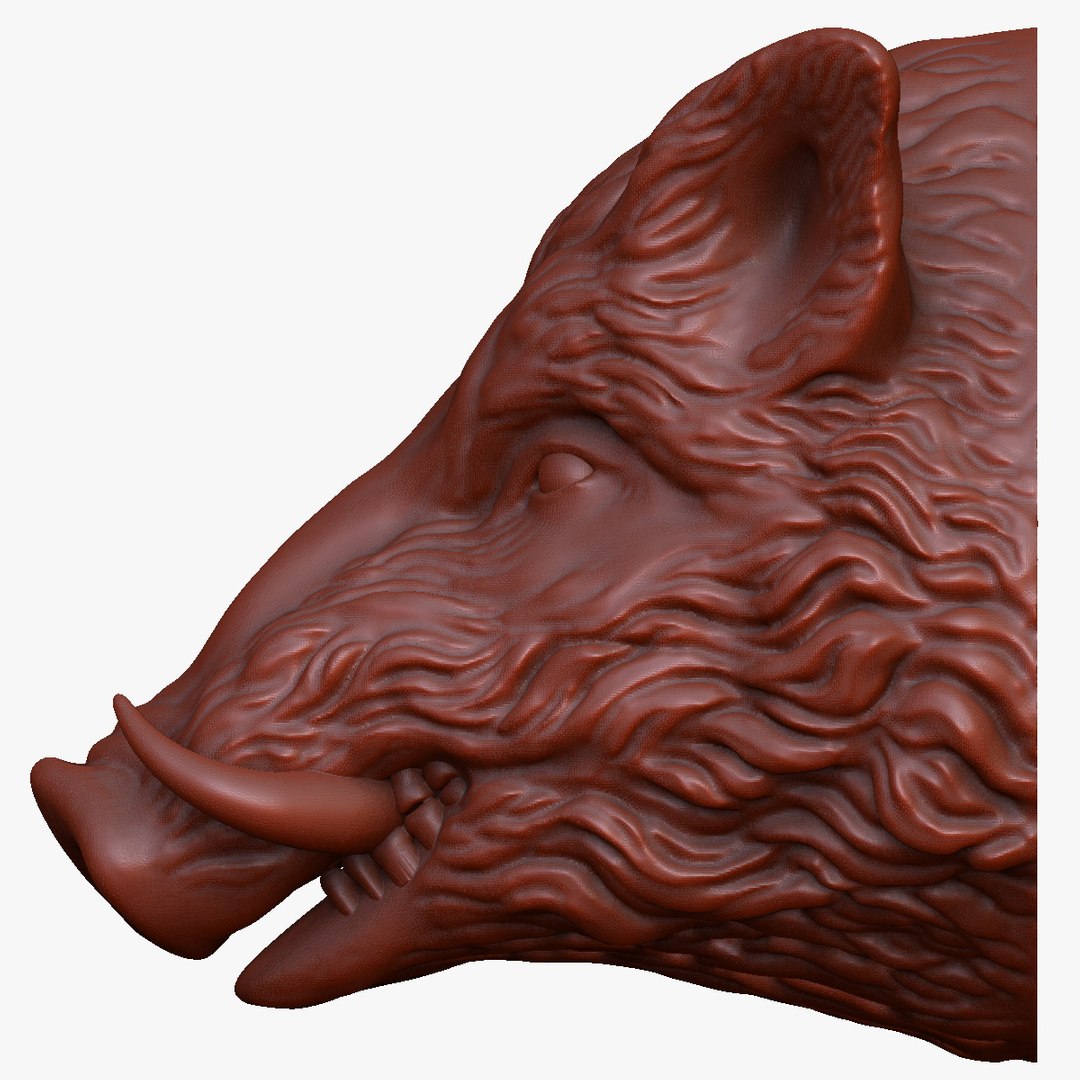 3d Boar Head