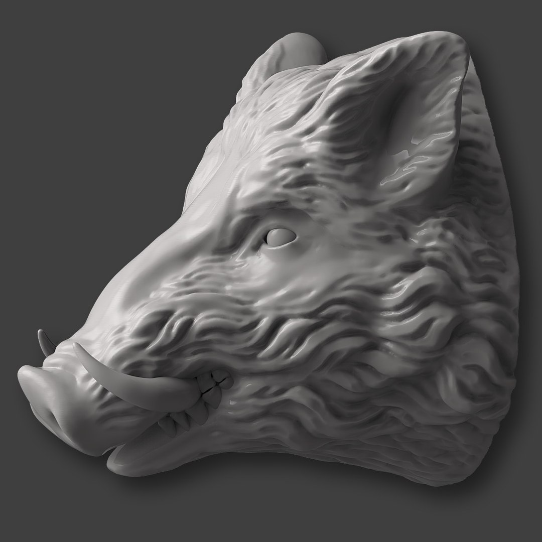 3d Boar Head