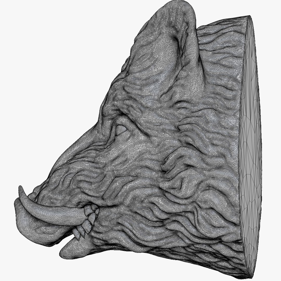 3d Boar Head