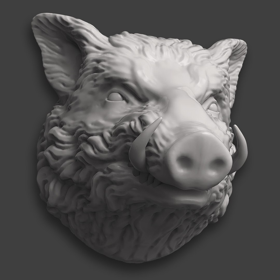 3d Boar Head