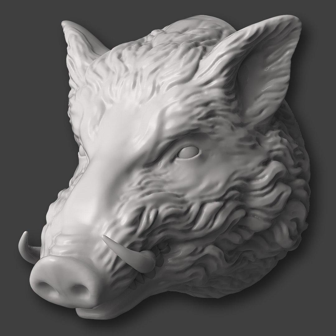 3d Boar Head