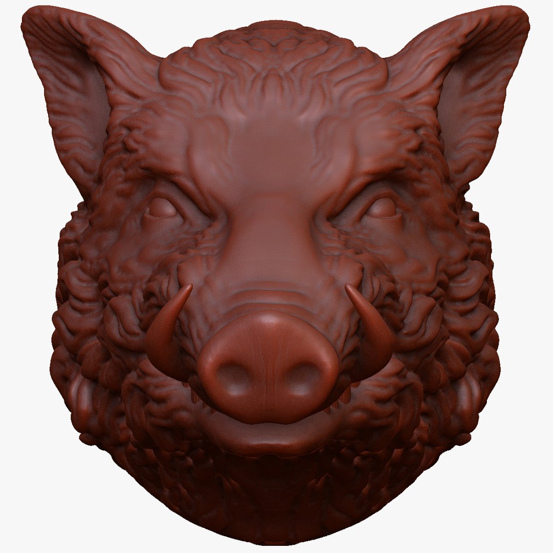 3d Boar Head