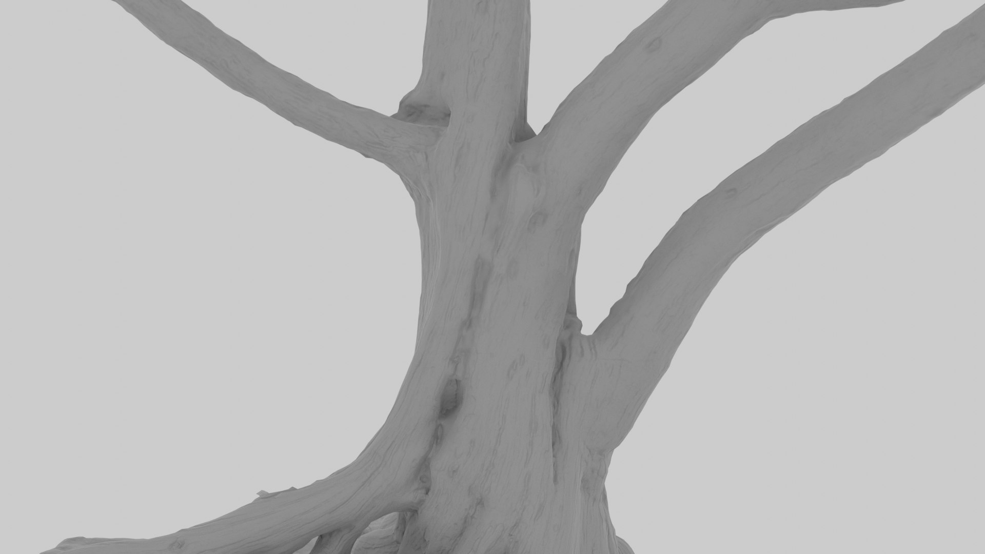 Namibian Dry Tree 01 - Scan 3D - TurboSquid 2036935