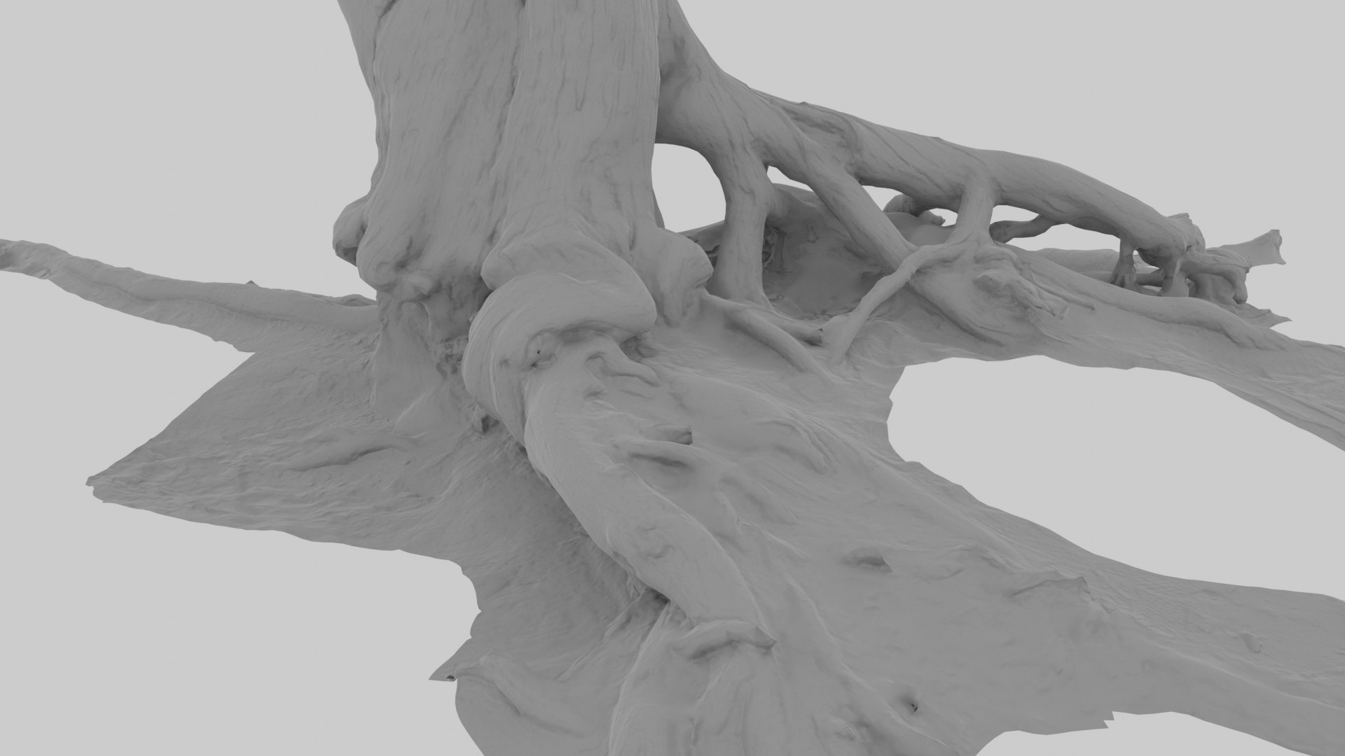 Namibian Dry Tree 01 - Scan 3D - TurboSquid 2036935