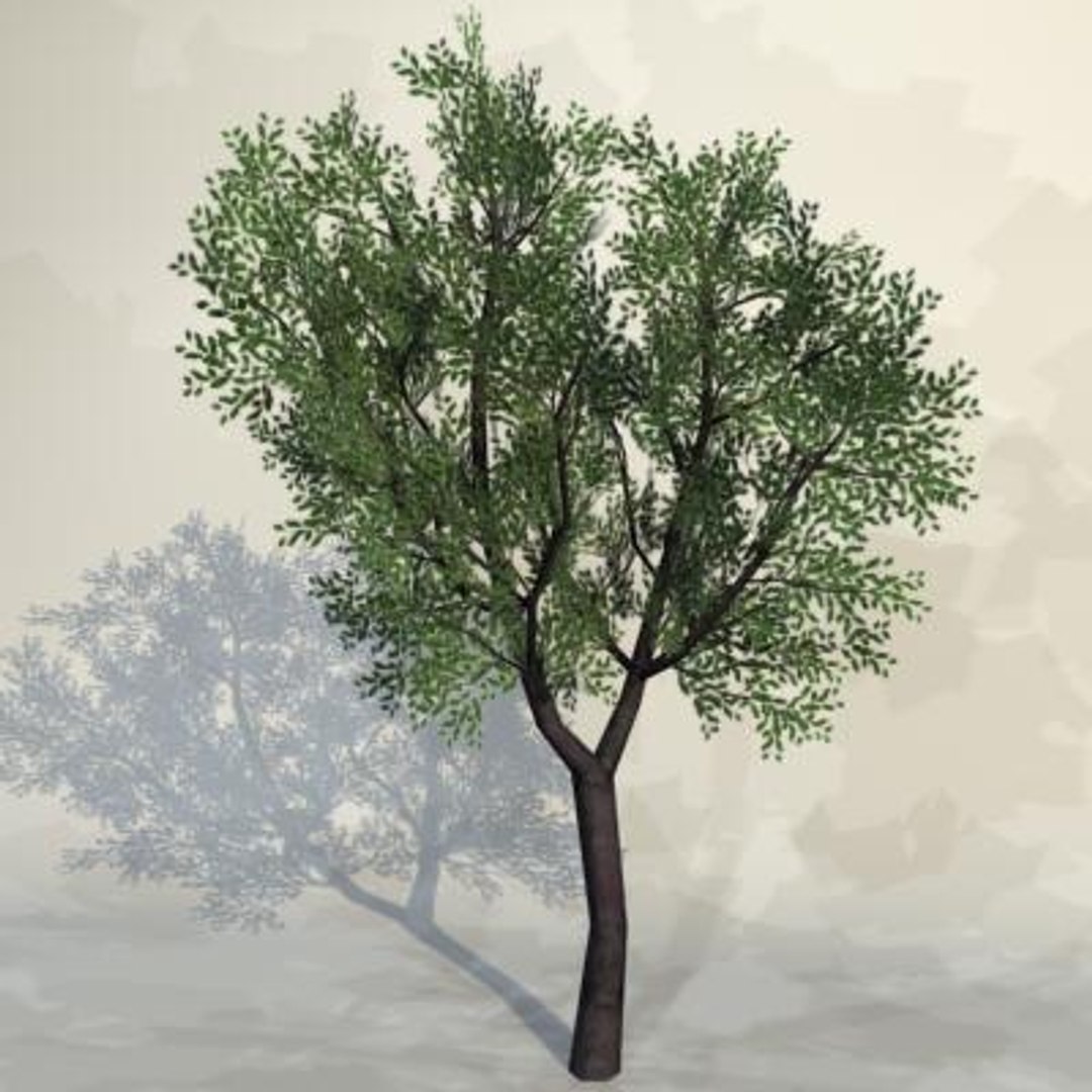 3d pc tree model